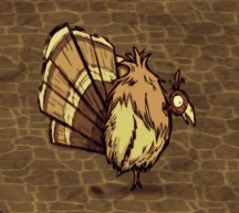 Dindon | Wiki Don't starve | Fandom