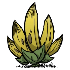 Bụi Chuối | Don't Starve Wiki | Fandom
