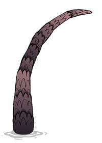 Quacken | Don't Starve Wiki | Fandom