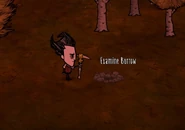 Moleworm | Don't Starve 攻略 Wiki | Fandom