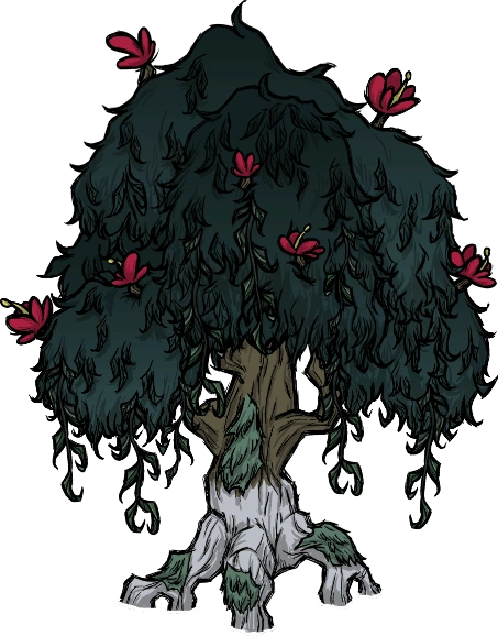 Cây Sần Sùi | Don't Starve Wiki | Fandom