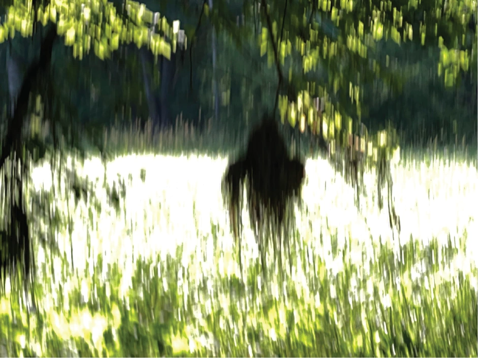 Pike Island Muck Monster | Newport Wiki | Fandom