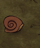 Snurtle | Don't Starve Wiki | Fandom