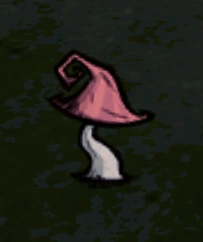 Czerwony grzyb | Don't Starve Wiki | Fandom
