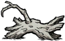 Morskie drewno (DST) | Don't Starve Wiki | Fandom