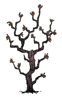 Drzewo gałązkowe (DST) | Don't Starve Wiki | Fandom