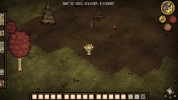 Wagstaff | Don't Starve Wiki | Fandom