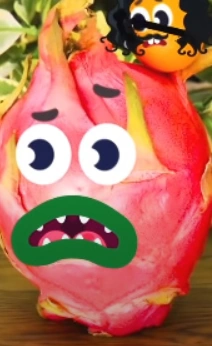 Monster Dragonfruit Doodland | Doodland Wiki | Fandom