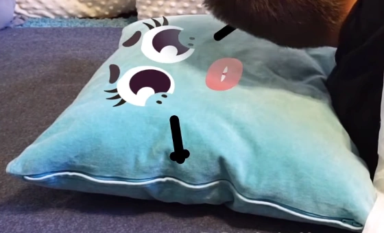 Pillow Girl Doodland | Doodland Wiki | Fandom