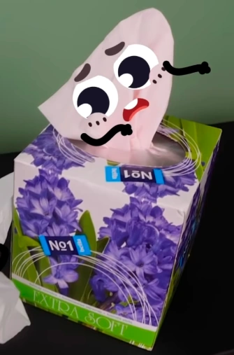 Tissues Box Doodland | Doodland Wiki | Fandom