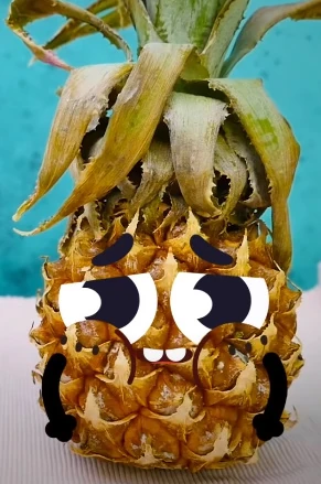 Pineapple Doodland | Doodland Wiki | Fandom