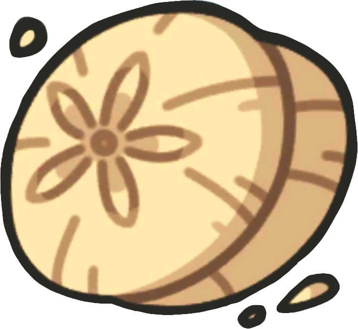 Sand Dollar | Doodle World Wiki | Fandom