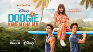 Nico Alexander | Doogie Kamealoha Wiki | Fandom