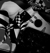 Skins | Doom By Fate Wiki | Fandom