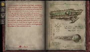 Codex/Weapons (The Dark Ages) | Doom Wiki | Fandom