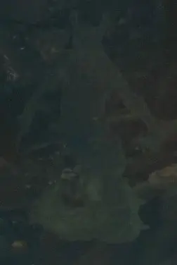 Whiplash Spectre | Doom Wiki | Fandom