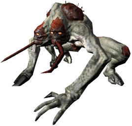 Maggot | Doom Wiki | Fandom