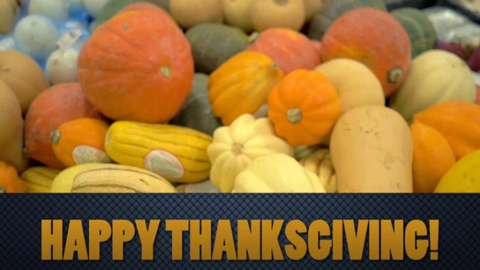 Happy Thanksgiving 2020! | Doomsday Animations Wiki | Fandom