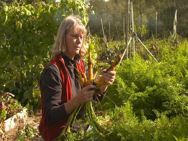 Kathy Harrison | Doomsday Preepers Wiki | Fandom