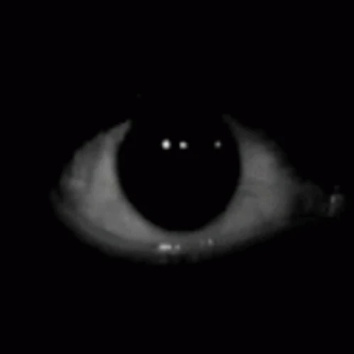 Void | Doors but bad fan remake Wiki | Fandom