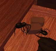 Timothy | DOORS Wiki | Fandom