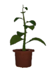 Discuss Everything About DOORS Wiki | Fandom