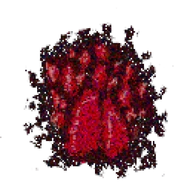 Hide | DOORS Wiki | Fandom