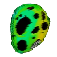 Hole | Doors Hard Mode Wiki | Fandom