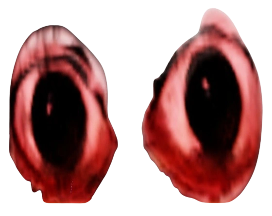 Trauma | Doors Hard Mode Wiki | Fandom