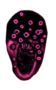 Threat | Doors Hard Mode Wiki | Fandom