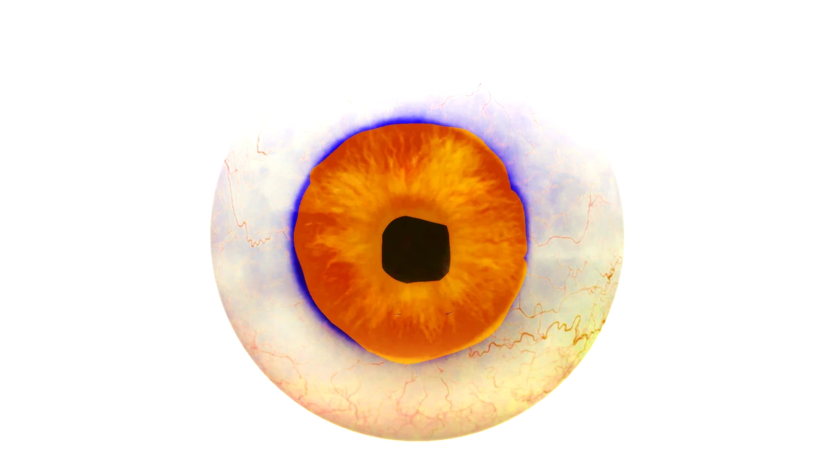 Lookman | Doors Ideas Wiki | Fandom