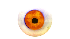 Lookman | Doors Ideas Wiki | Fandom