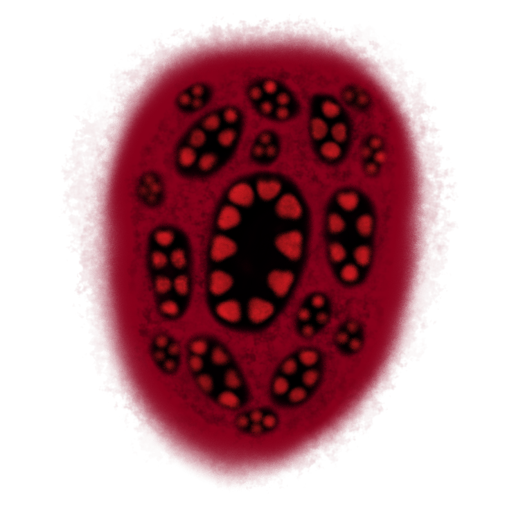 Koavo | Doors Ideas Wiki | Fandom