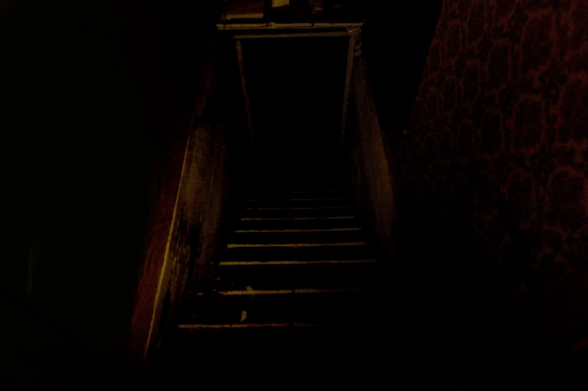 The Hollow Path | Doors Ideas Wiki | Fandom