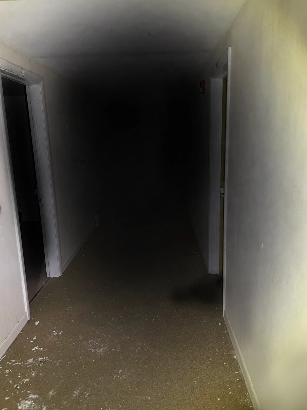 The Halls | Doors Ideas Wiki | Fandom