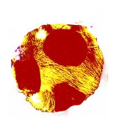 Scorch | Doors Ideas Wiki | Fandom