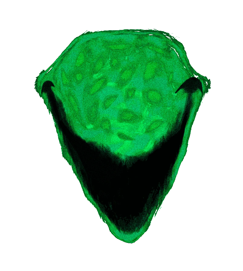 Toxicant | Doors Ideas Wiki | Fandom