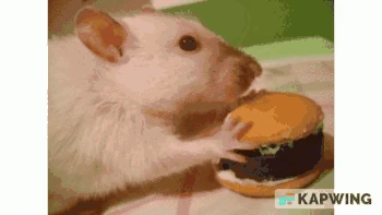 Rat | Doors Ideas Wiki | Fandom