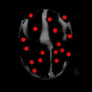 Mimicked | Doors Ideas Wiki | Fandom