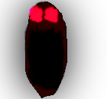 Enraged | Doors Ideas Wiki | Fandom