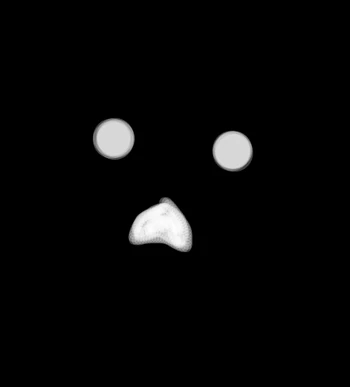 Hallucinations | Doors Ideas Wiki | Fandom