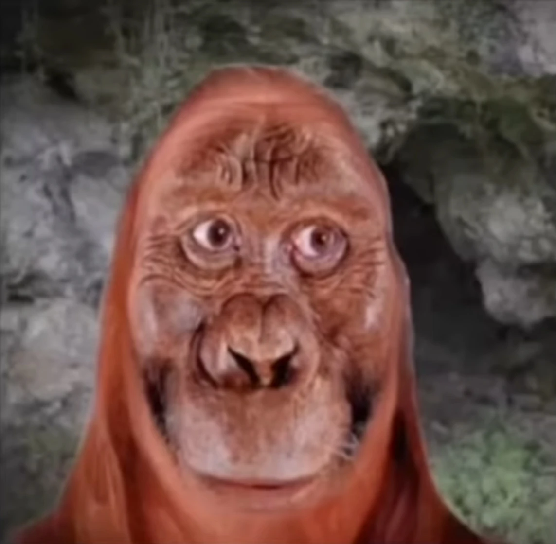 Monke | Doors Ideas Wiki | Fandom