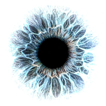 Jorb | Doors Ideas Wiki | Fandom