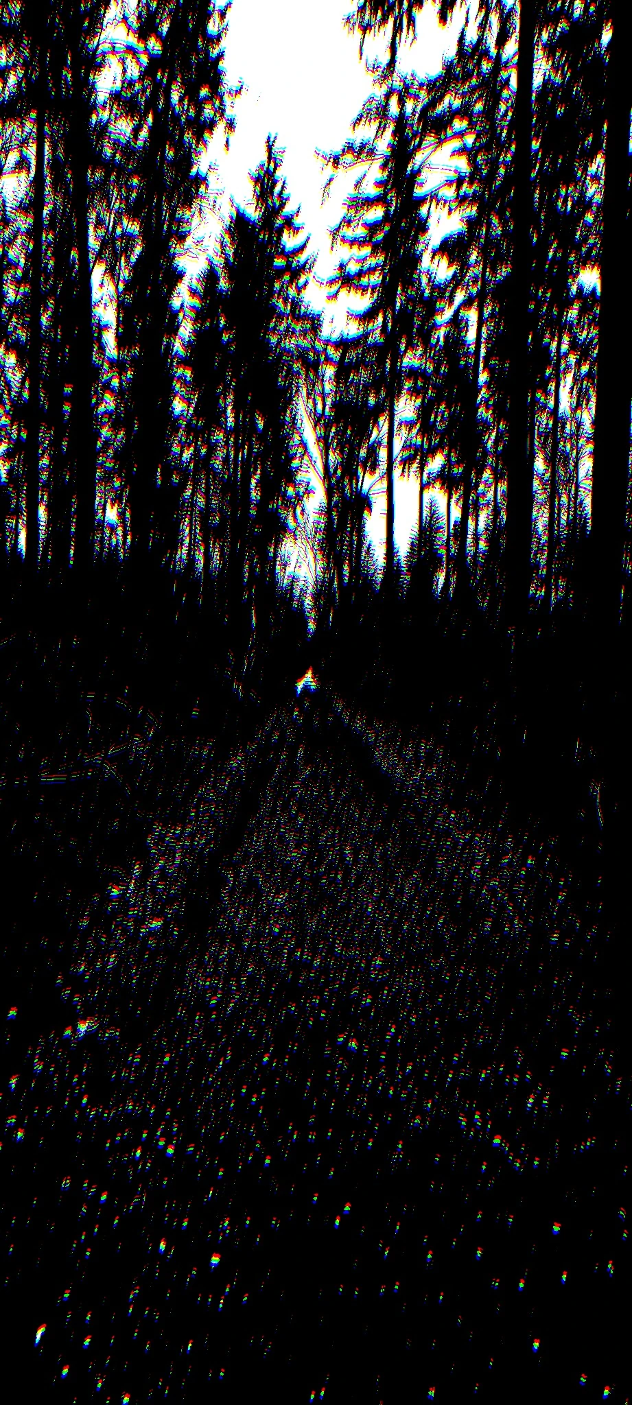 Grayscale | Doors Ideas Wiki | Fandom