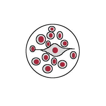 Phasmo | Doors Ideas Wiki | Fandom