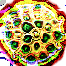 Trypophobia | Doors Ideas Wiki | Fandom