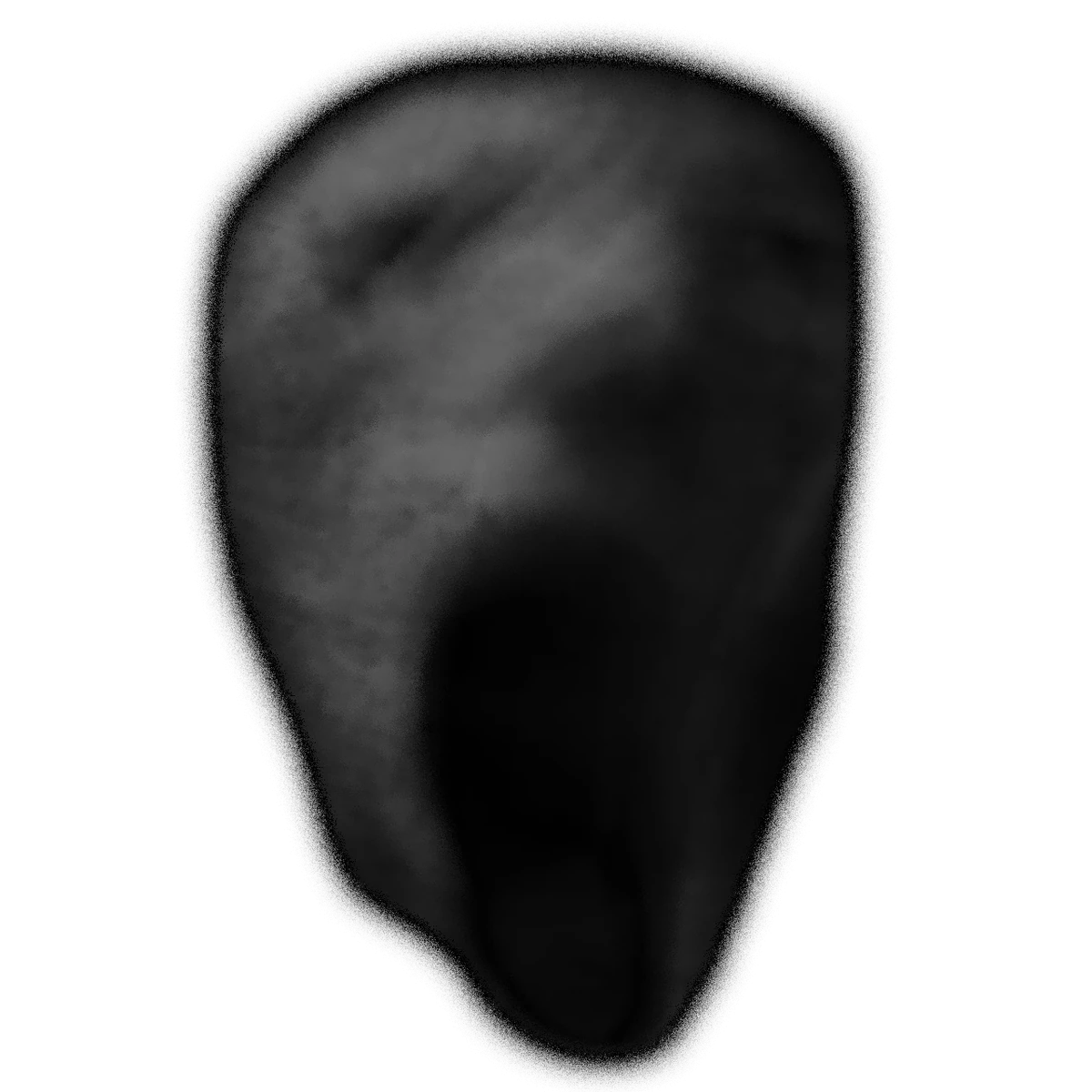 Shrouded | Doors Ideas Wiki | Fandom