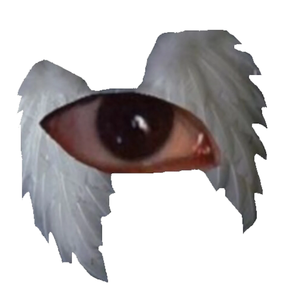 Dreamcore Angel | Doors Ideas Wiki | Fandom