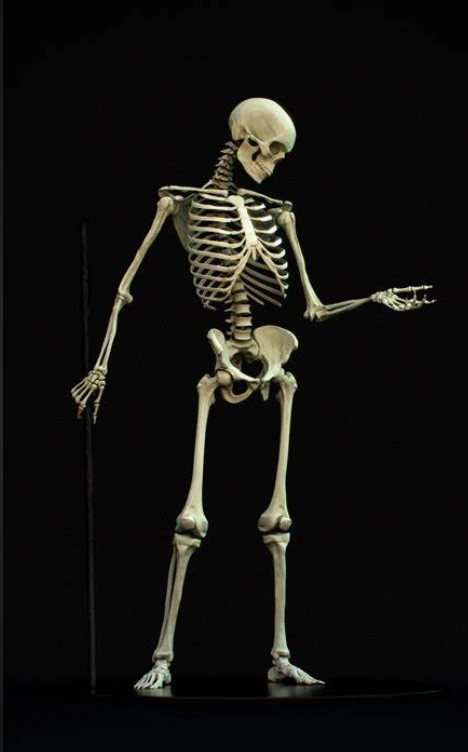 Spooky skelton!!!!!11!!!!1!11!! | Doors Ideas Wiki | Fandom