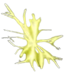 Rift | THE LOST MINES ROBLOX Wiki | Fandom